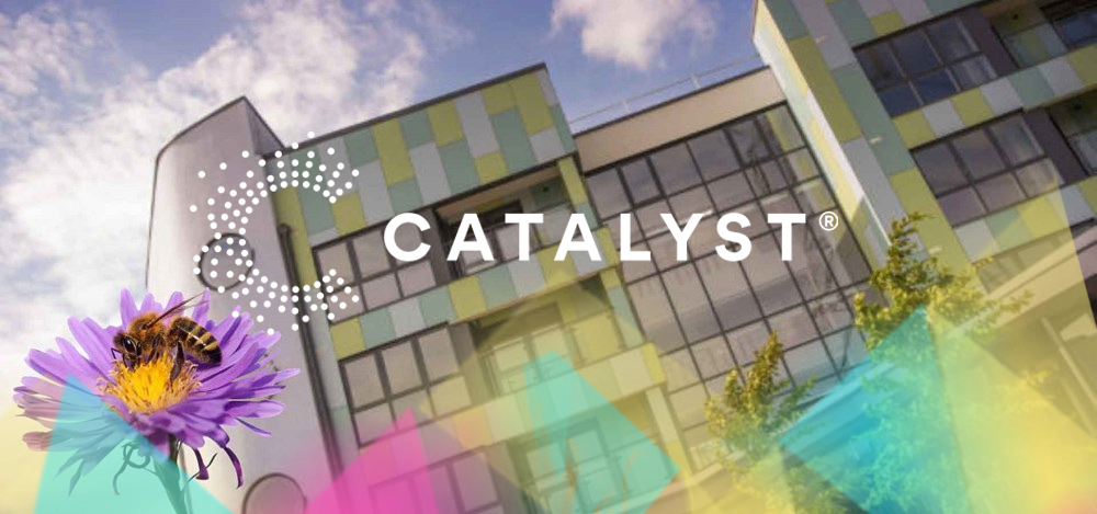 Omnia-based Intranet 'The Hive' Boosts Productivity and Unites Catalyst ...